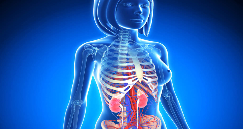 Hipnosis en el cuerpo humano – Autoscopia